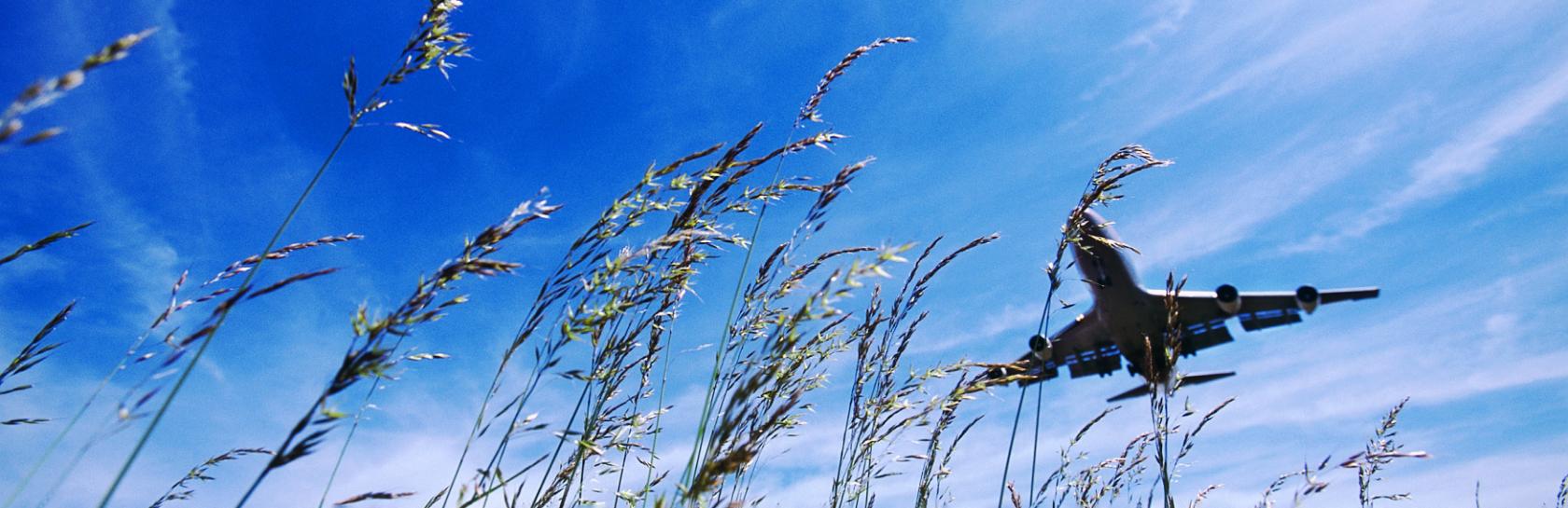 Sustainable Aviation Fuel (SAF) | Heathrow